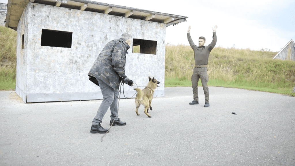 Scheintäter Michael Rogosin von TacticalK9family - cerberus - DOGINARE